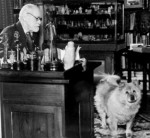 Freud & Dogs, II: A Dangerous Method (If You Fear Dogs)