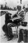 Freud & Dogs, IV: The Mystery of the Chows on the Balcony