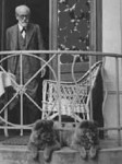 Freud & Dogs, IV: The Mystery of the Chows on the Balcony
